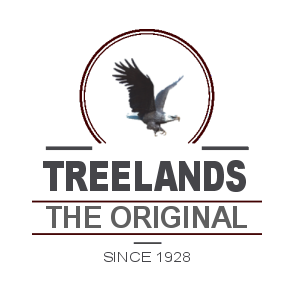 Wisconsin Fishing Resorts - Treeland Resorts